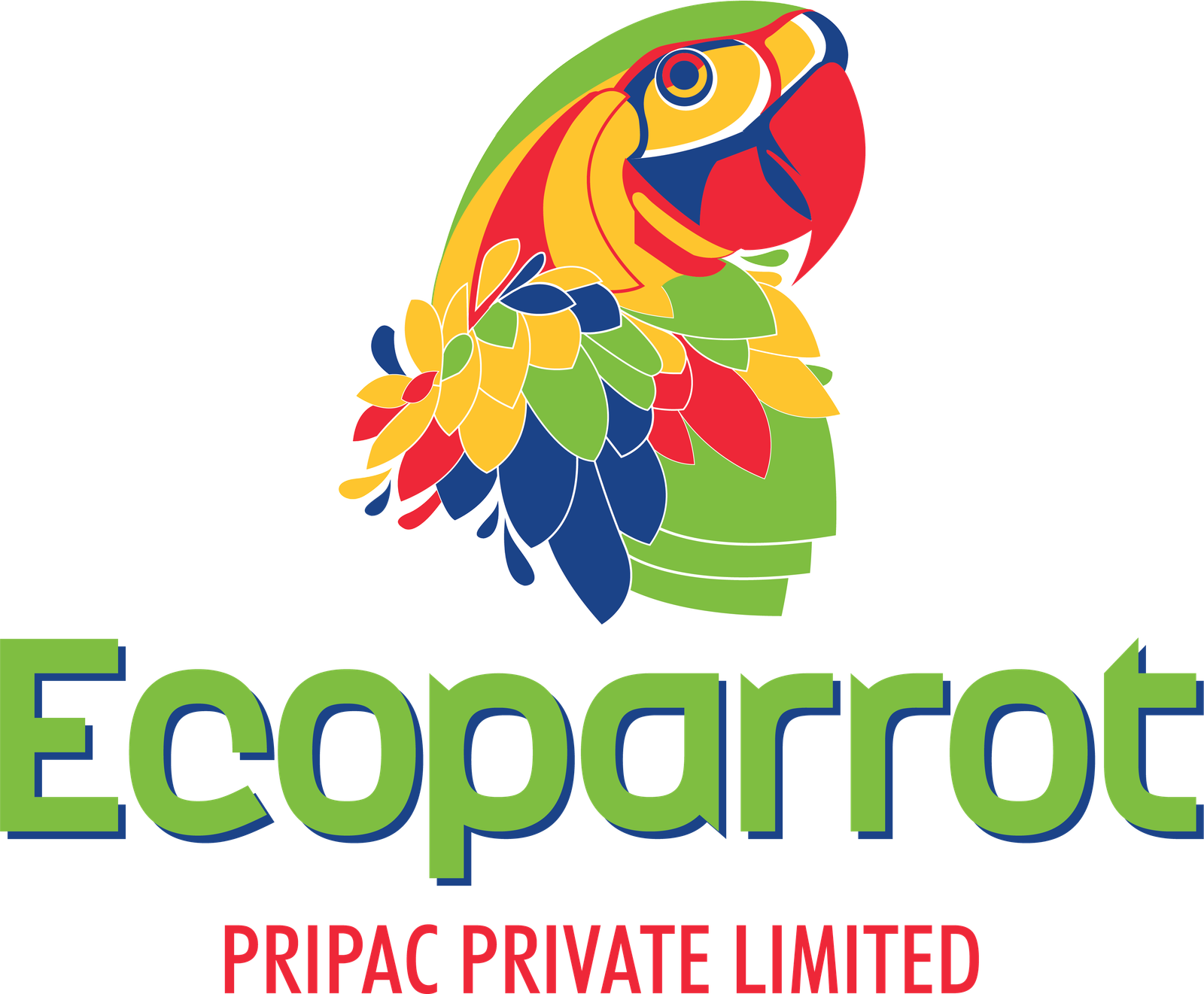 Customisable Paper and Non-Woven Bags in Kerala – EcoParrot